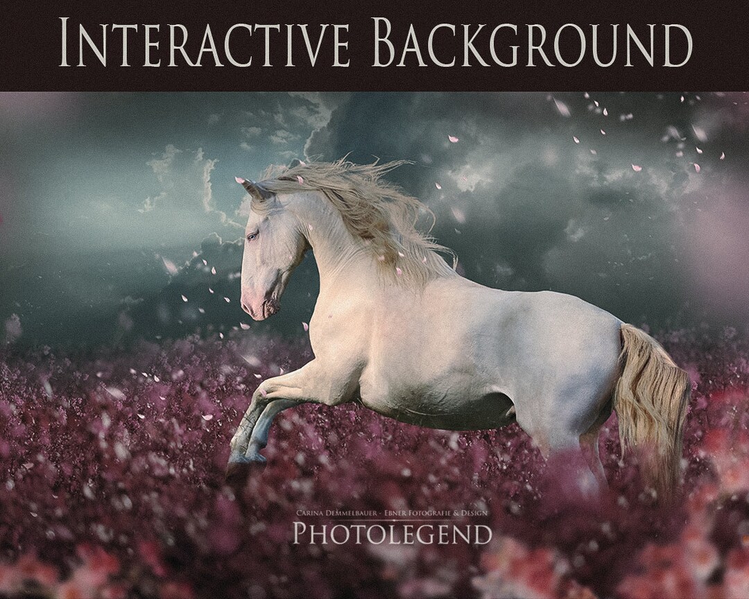 Interactive Photo Editing Background - Etsy