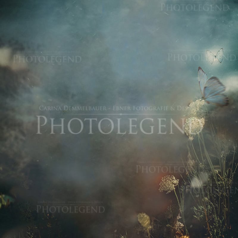 Photolegend - Etsy