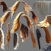 REAL HAIR OVERLAYS Vol. 2 - Etsy