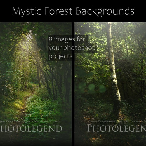 Forest Park Digital Backdrop Background for Photoshop - Etsy