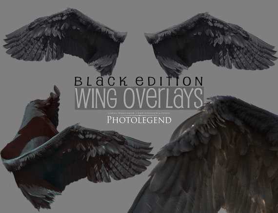 PNG Overlays BLACK WINGS | Etsy