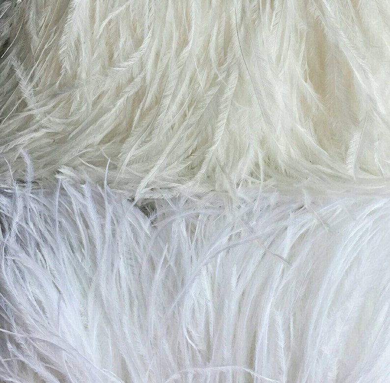 White Feather Trim Ostrich Feathers Trim Feather Trim Craft - Etsy
