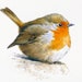 Robin Bird Painting, ORIGINAL Watercolor Painting, Cute Bird Art ...