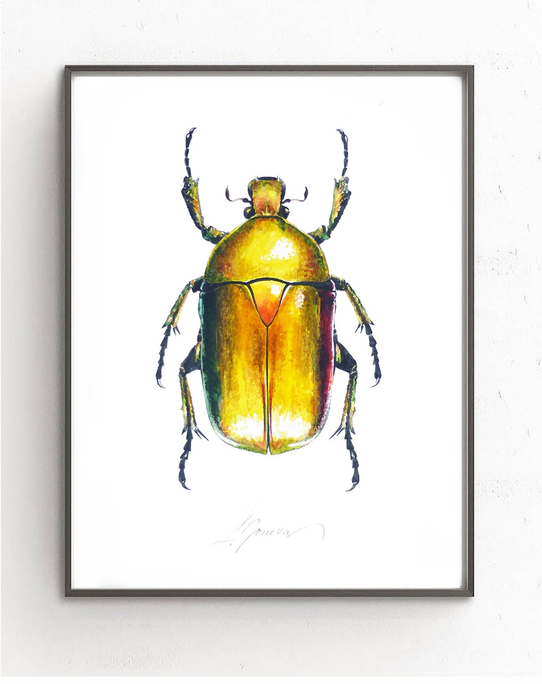 Beetle, Watercolor Painting , ORIGINAL Watercolor, Nature Art - Etsy