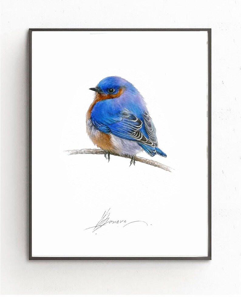 Eastern Bluebird Painting: Original Watercolor Songbird Art (7x10 ...