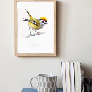 Taiwan Firecrest, Watercolor Painting Birds, ORIGINAL Watercolor, Bird ...