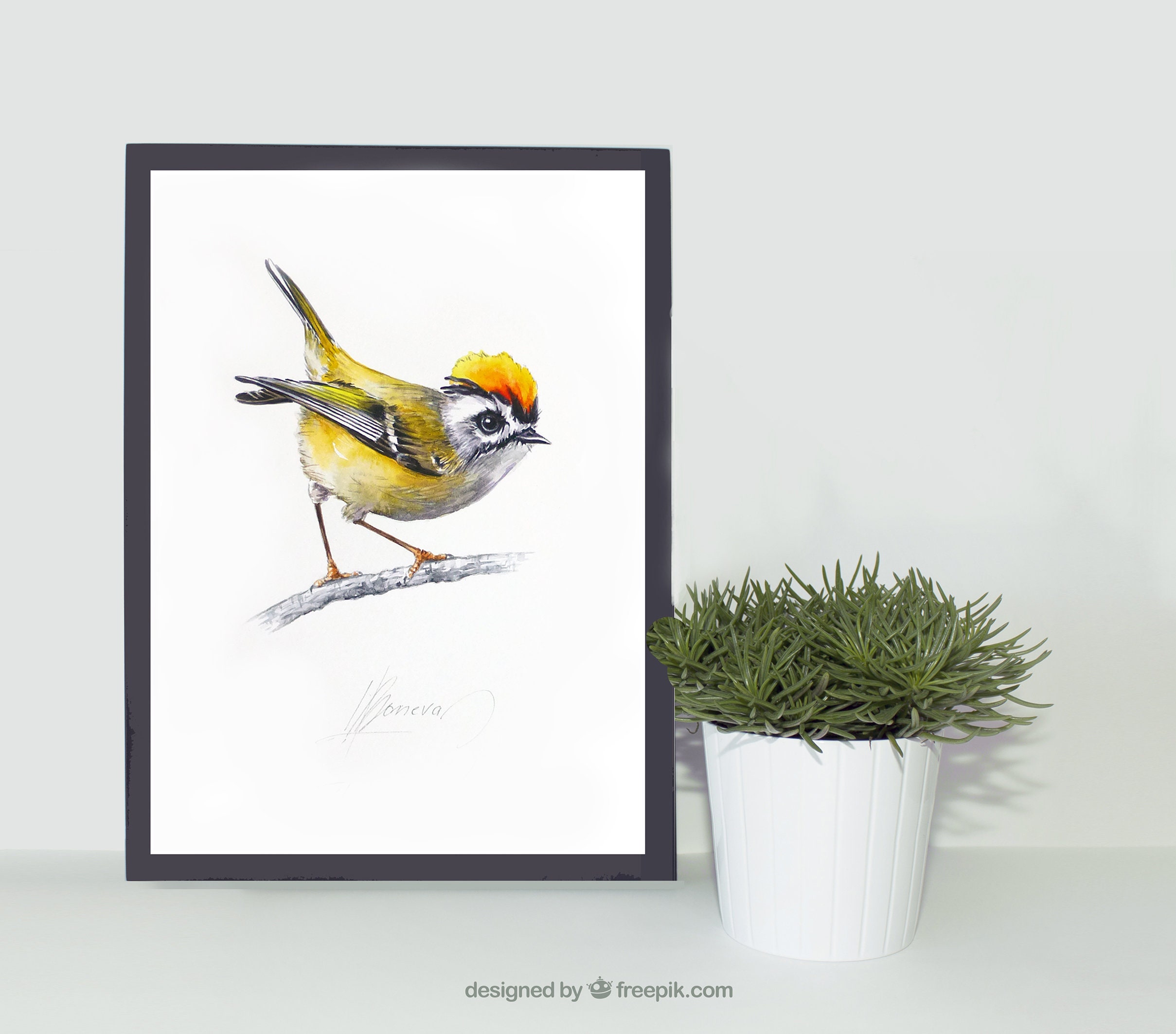 Taiwan Firecrest, Watercolor Painting Birds, ORIGINAL Watercolor, Bird ...