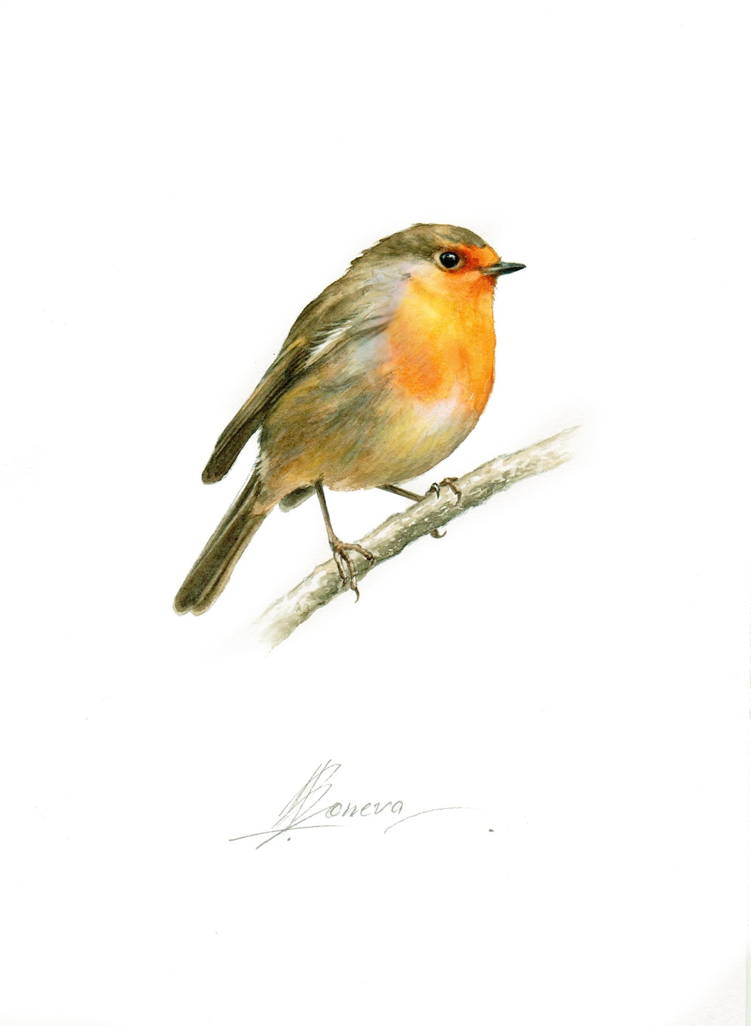 Robin Bird Painting, Watercolor Painting Bird, ORIGINAL Artwork, Garden ...
