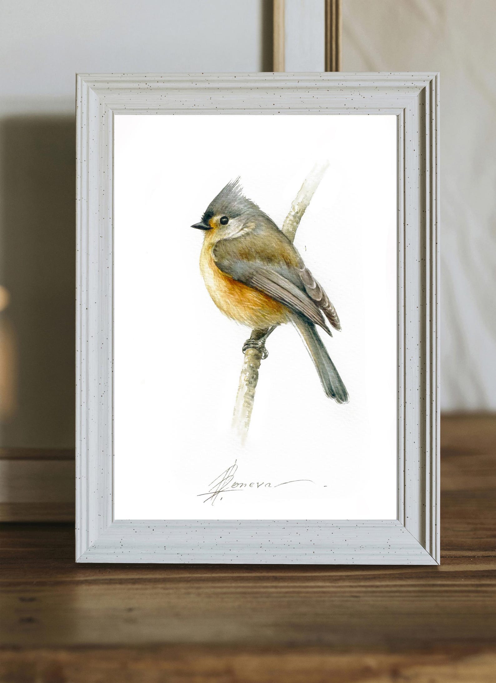 Tufted Titmouse Watercolor Painting: Original Bird Art, Hand-drawn - Etsy