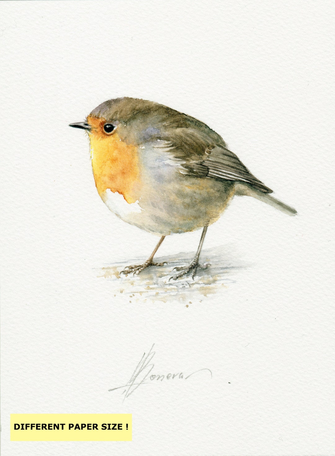Robin Bird Painting, ORIGINAL Watercolor Painting, Bird Artworks, Robin ...