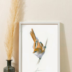 Bearded Reedling, Bird Painting, ORIGINAL Watercolor, Bird Drawing ...