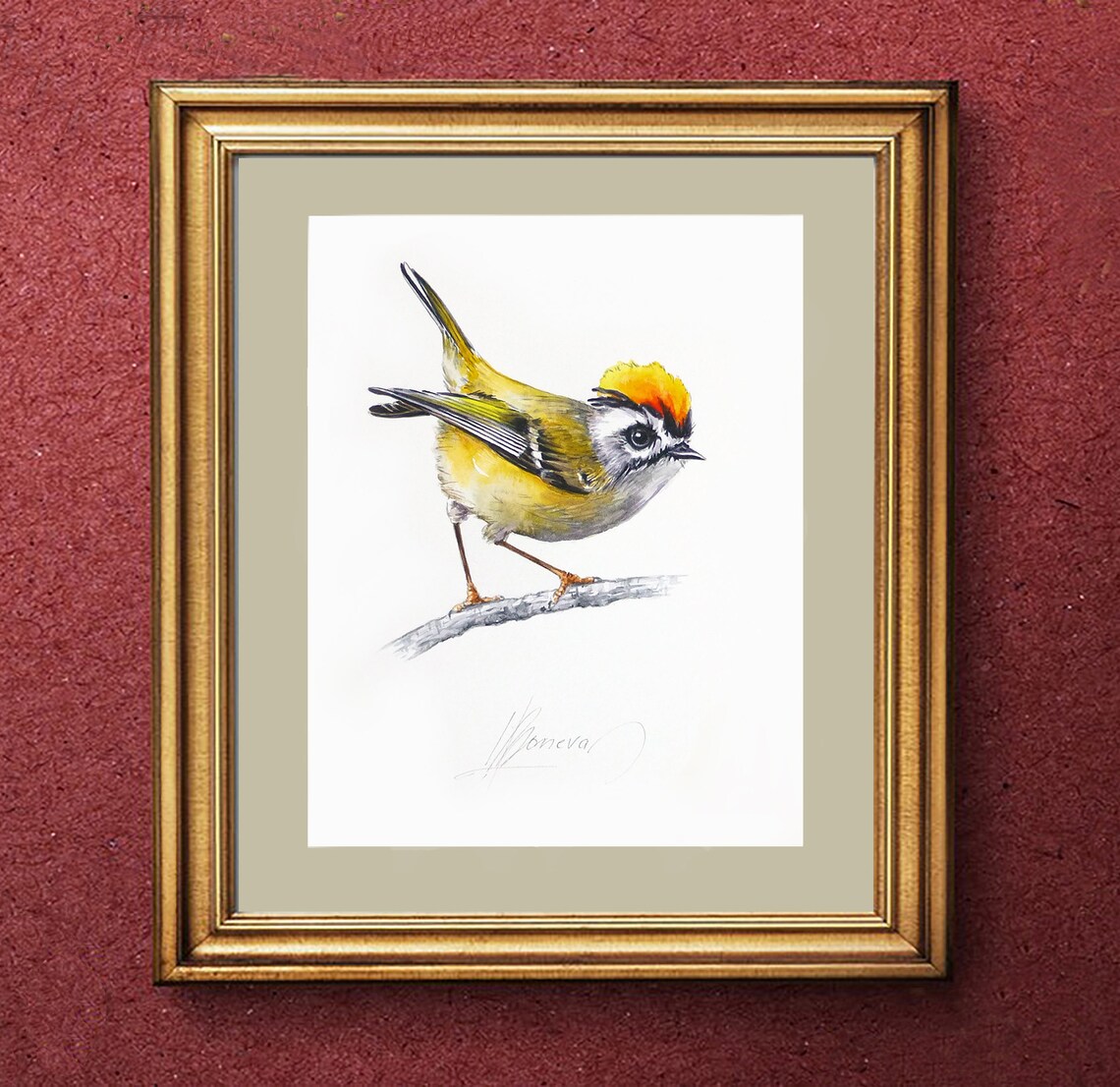 Taiwan Firecrest, Watercolor Painting Birds, ORIGINAL Watercolor, Bird ...