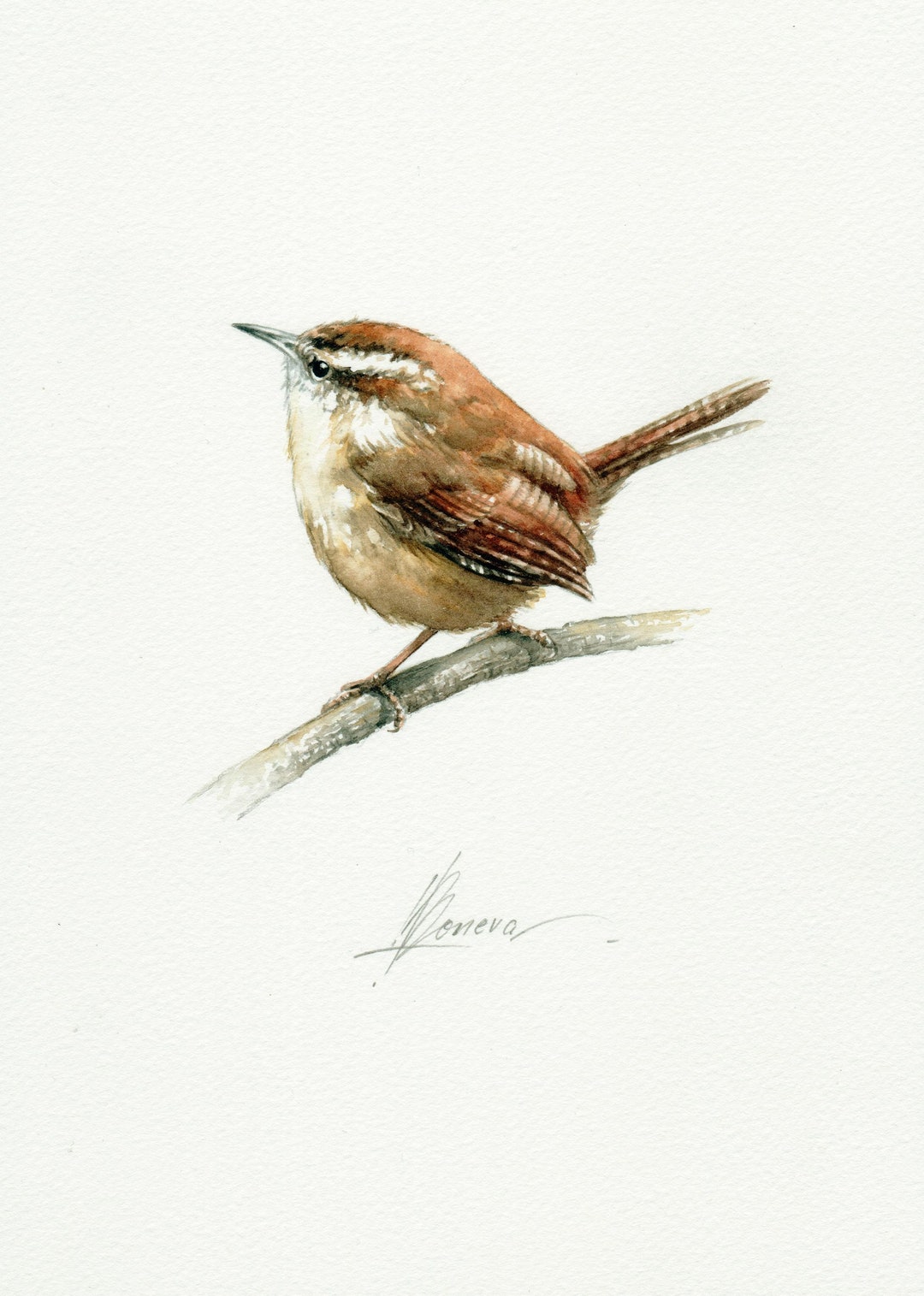 Carolina Wren, Art Print From Original Watercolor Painting, Bird Wall ...