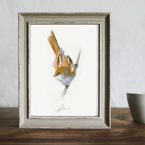 Bearded Reedling, Bird Painting, ORIGINAL Watercolor, Bird Drawing ...