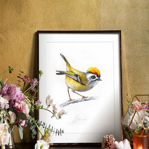 Taiwan Firecrest, Watercolor Painting Birds, ORIGINAL Watercolor, Bird ...