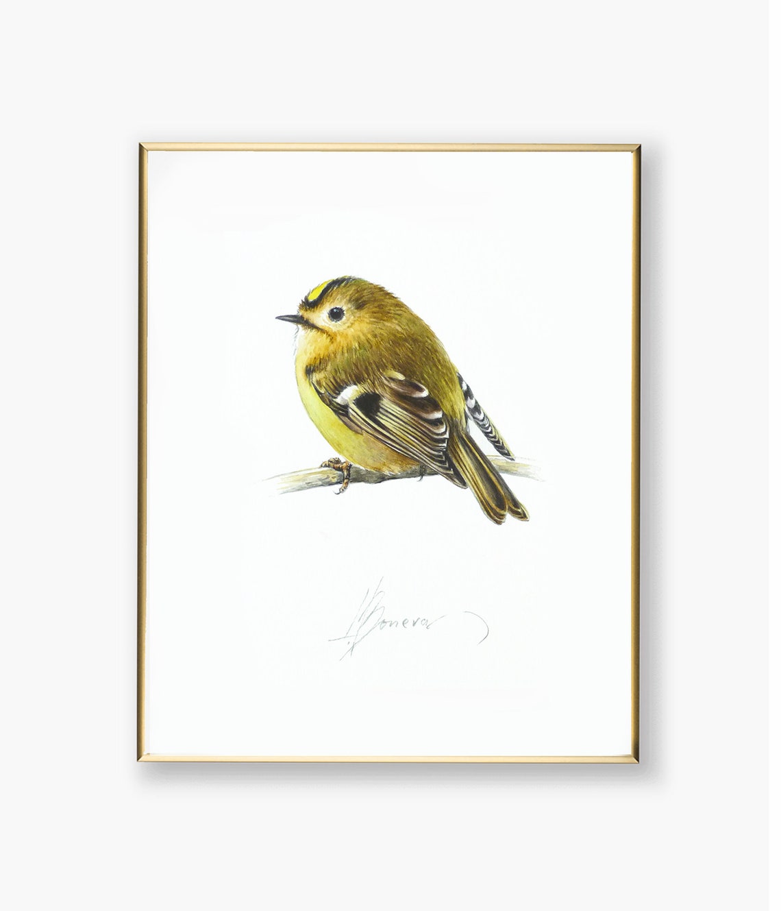 Goldcrest , Watercolor Painting Birds, ORIGINAL Watercolor, Bird Art ...
