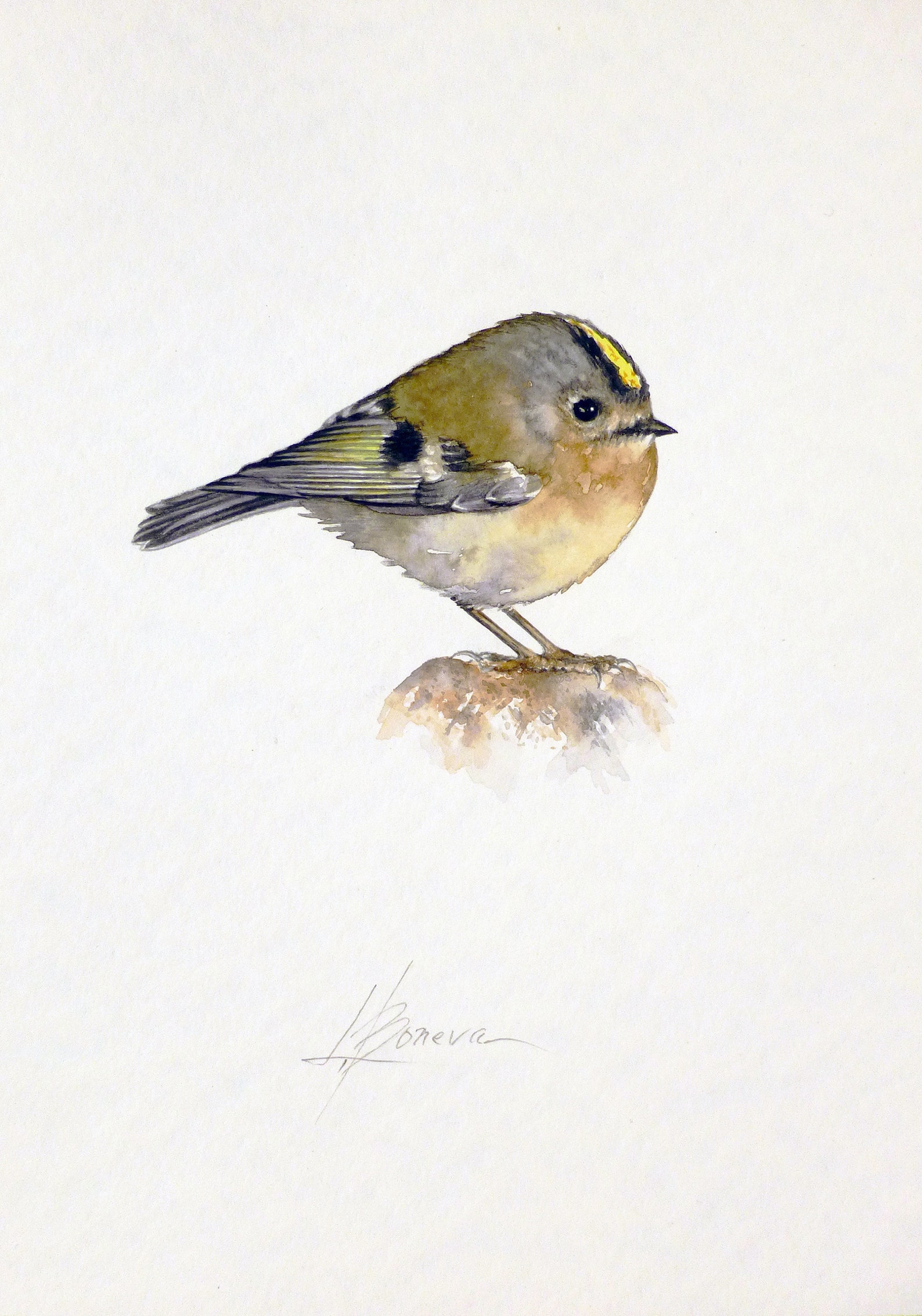 Goldcrest Watercolor Bird Painting ORIGINAL Watercolor Wall - Etsy