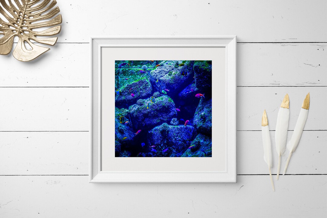 Fish Print | Marine Life PRINTABLE Art Underwater Photography Modern ...