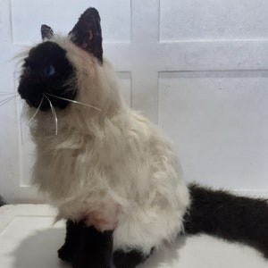 Himalayan Realistic Cat Colorpoint Plush - Etsy