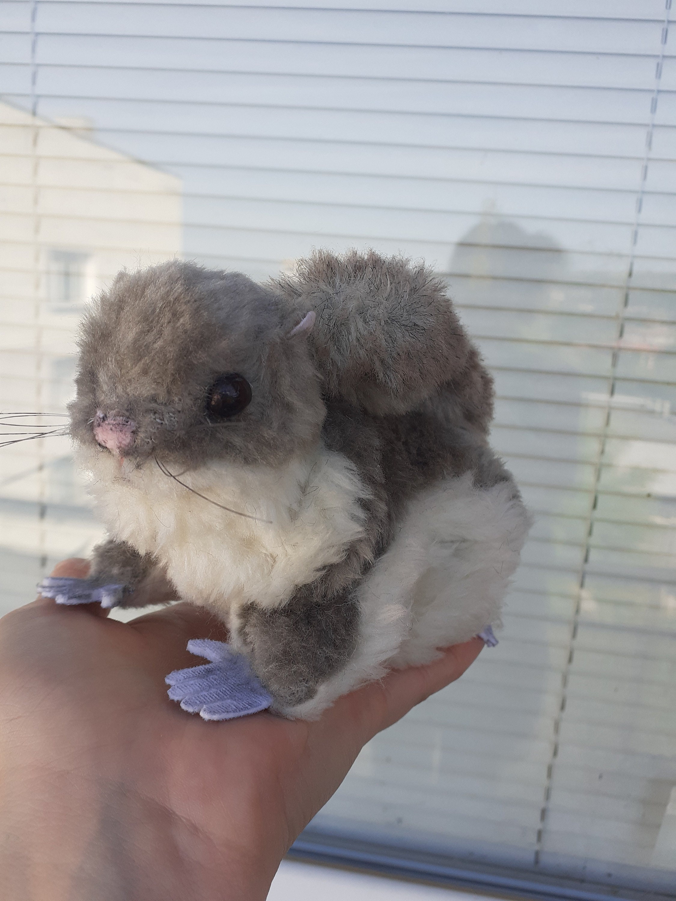 Flying Squirrel Pet