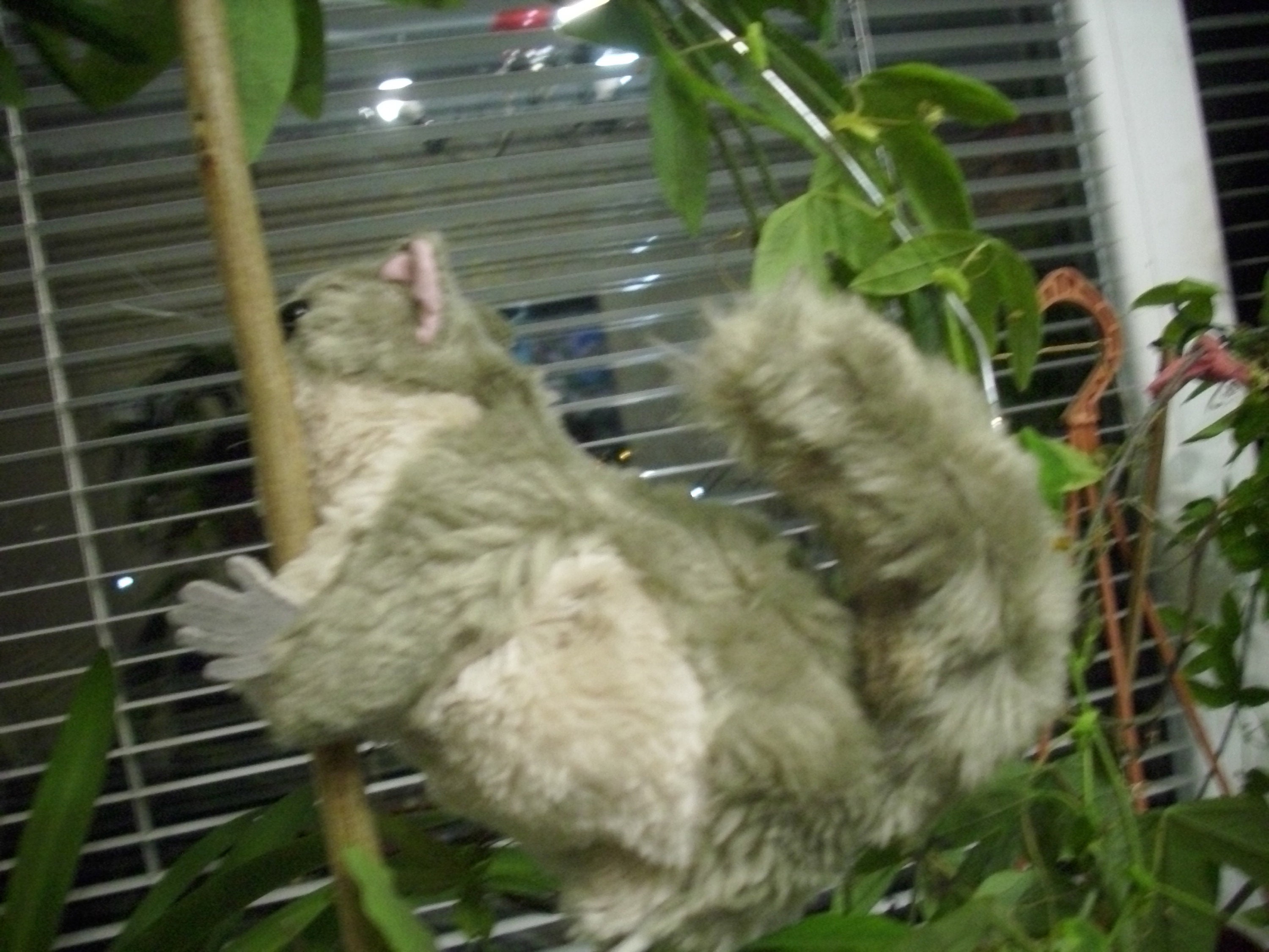 Plush Momonga Japanese flying squirrel | Etsy