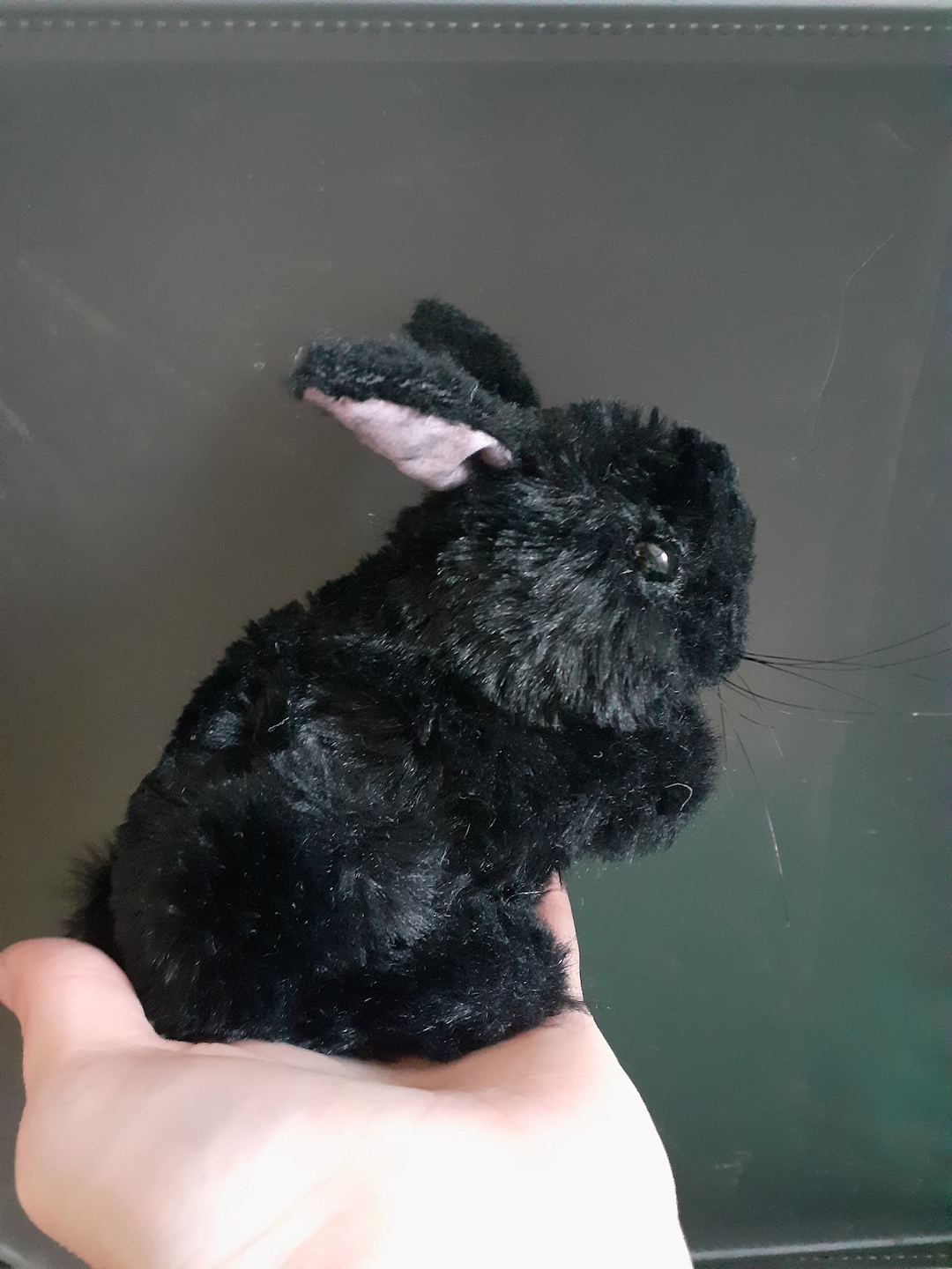 Plush Black Bunny - Etsy