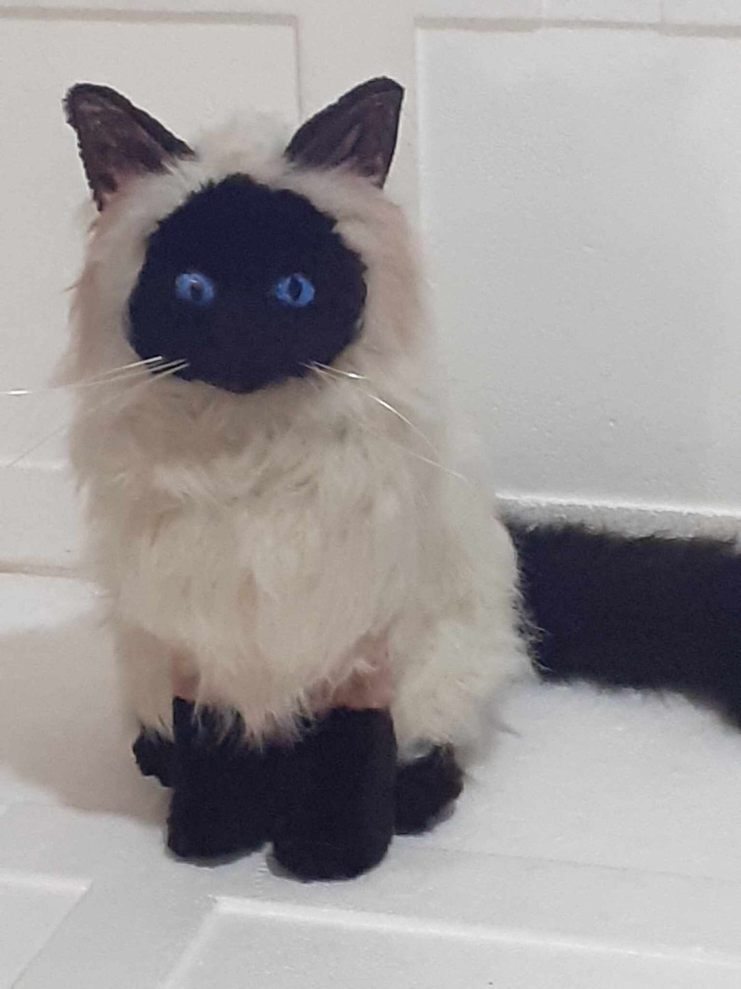 Himalayan Cat Colorpoint Plush - Etsy