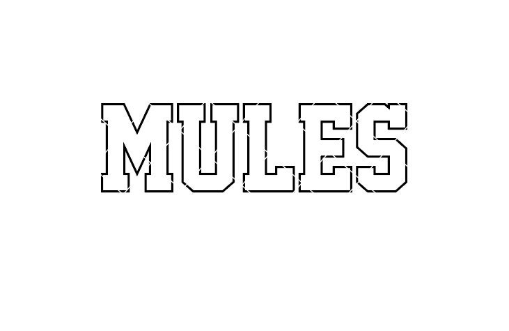 Mules - SVG/DXF/PNG File for Cutting Machines and Sublimation - Etsy