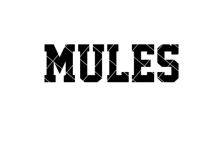 Mules - SVG/DXF/PNG File for Cutting Machines and Sublimation - Etsy