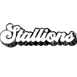 Stallions Retro Script Regular and Distressed - SVG/DXF/PNG File for ...