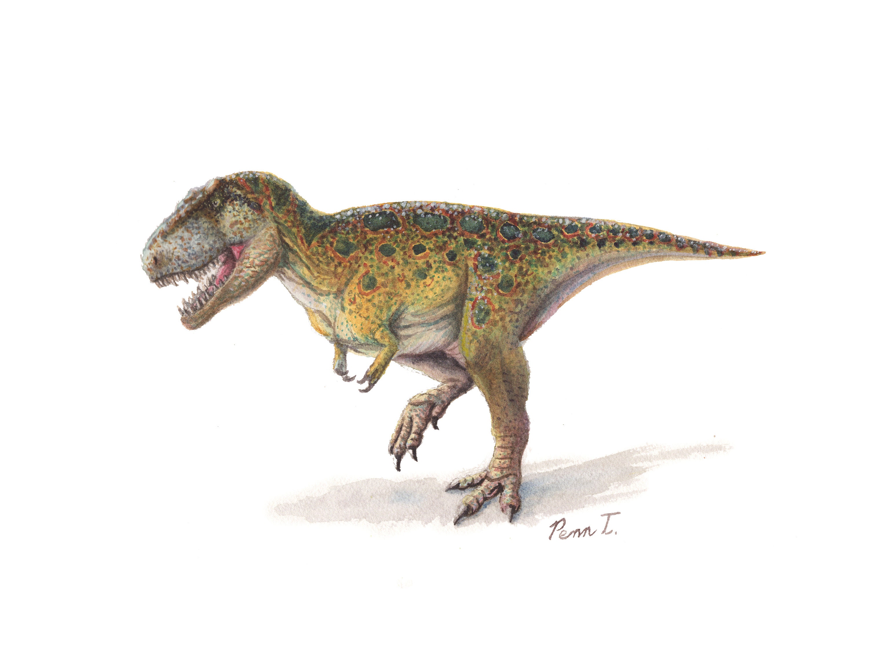 Tyrannosaurus Rex Stomping, Fine Art Print - Etsy