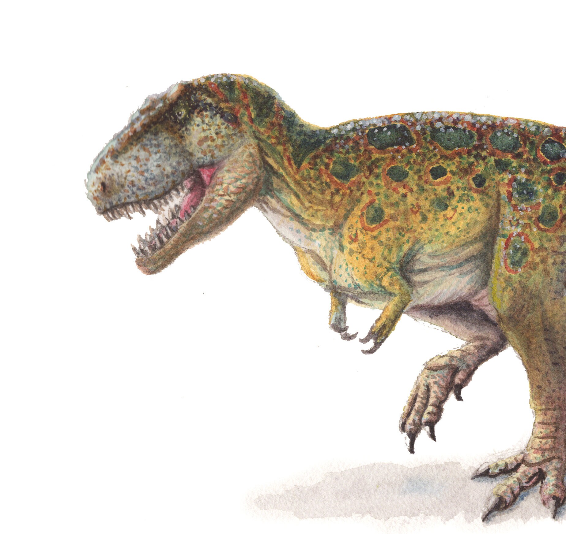 Tyrannosaurus Rex Paleoart Print (9x12 Inches), Fine Art Print ...