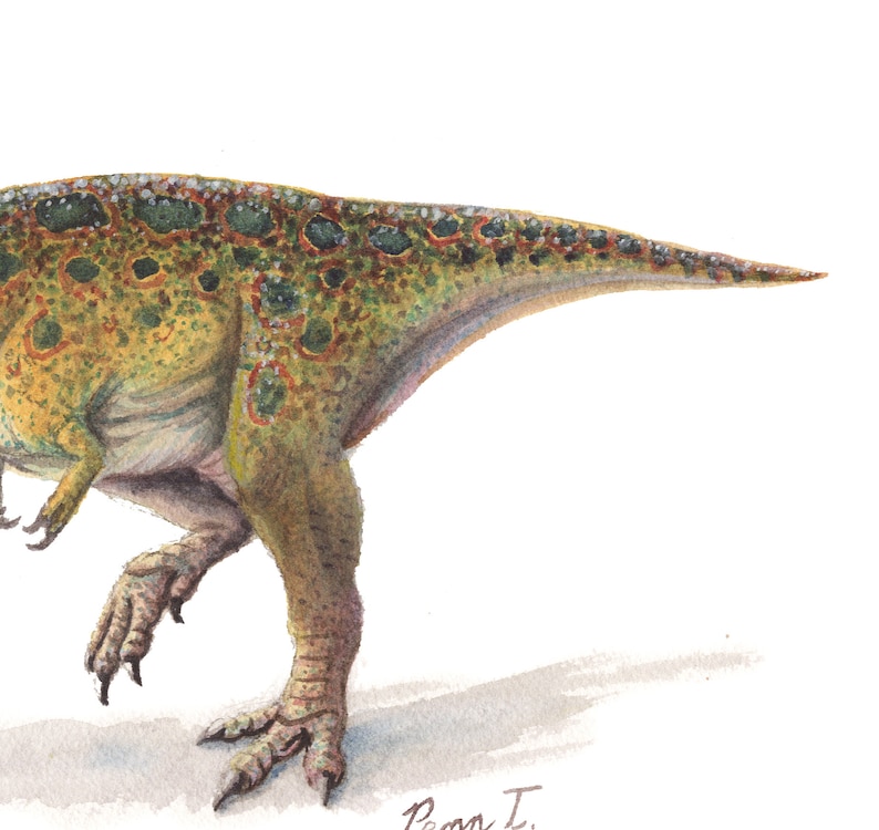 Tyrannosaurus Rex Stomping, Fine Art Print - Etsy