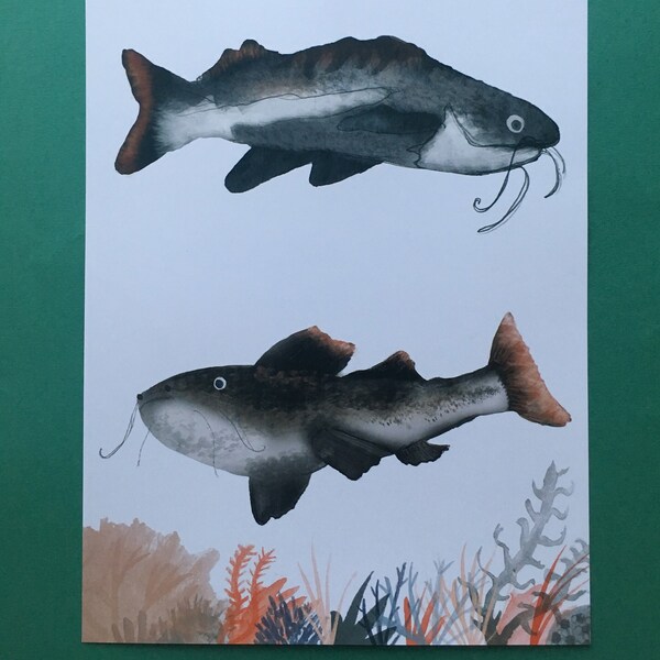 Catfish Print - Etsy