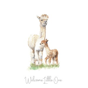 Alpaca New Baby Hand Painted Greetings Card - Etsy