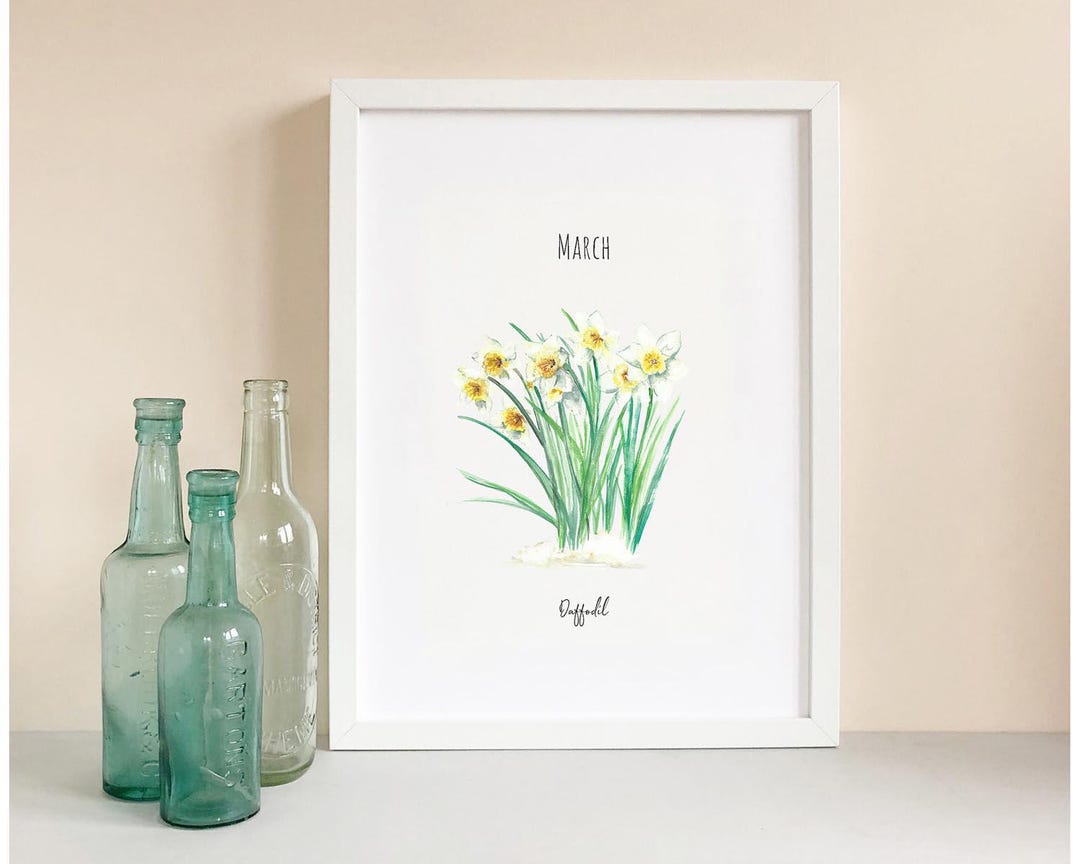 Daffodils - March Birth Flower - Watercolour Fine Art Print - Etsy