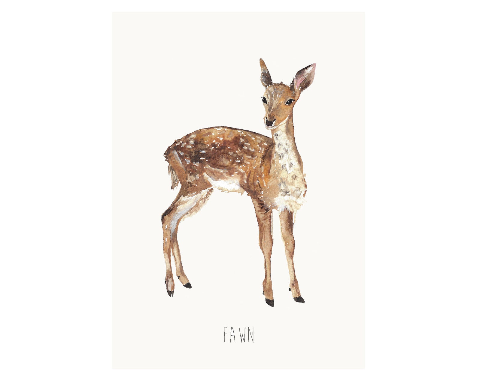 Watercolour Fawn Art Print - Etsy