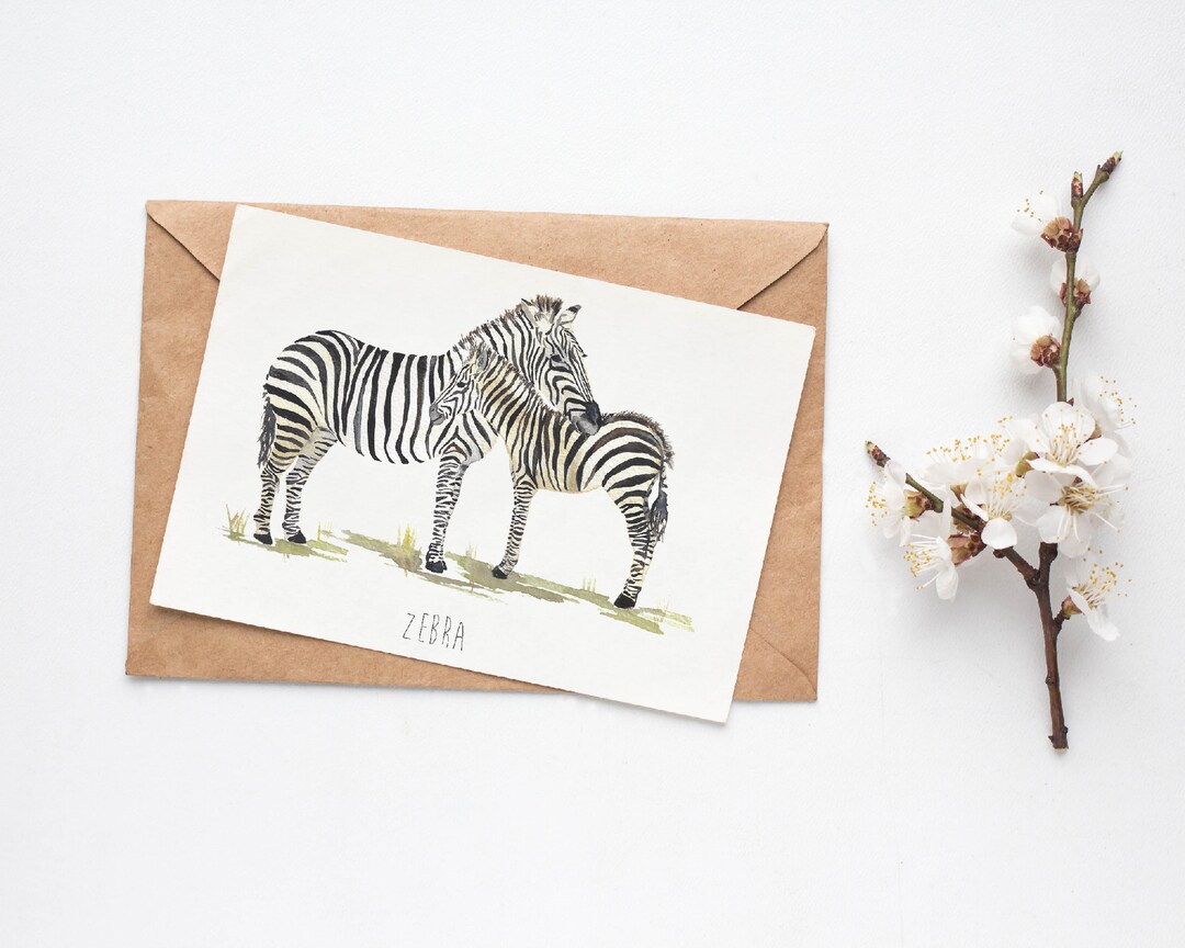 Zebra Greetings Card: Hand-painted Watercolor Design - Etsy
