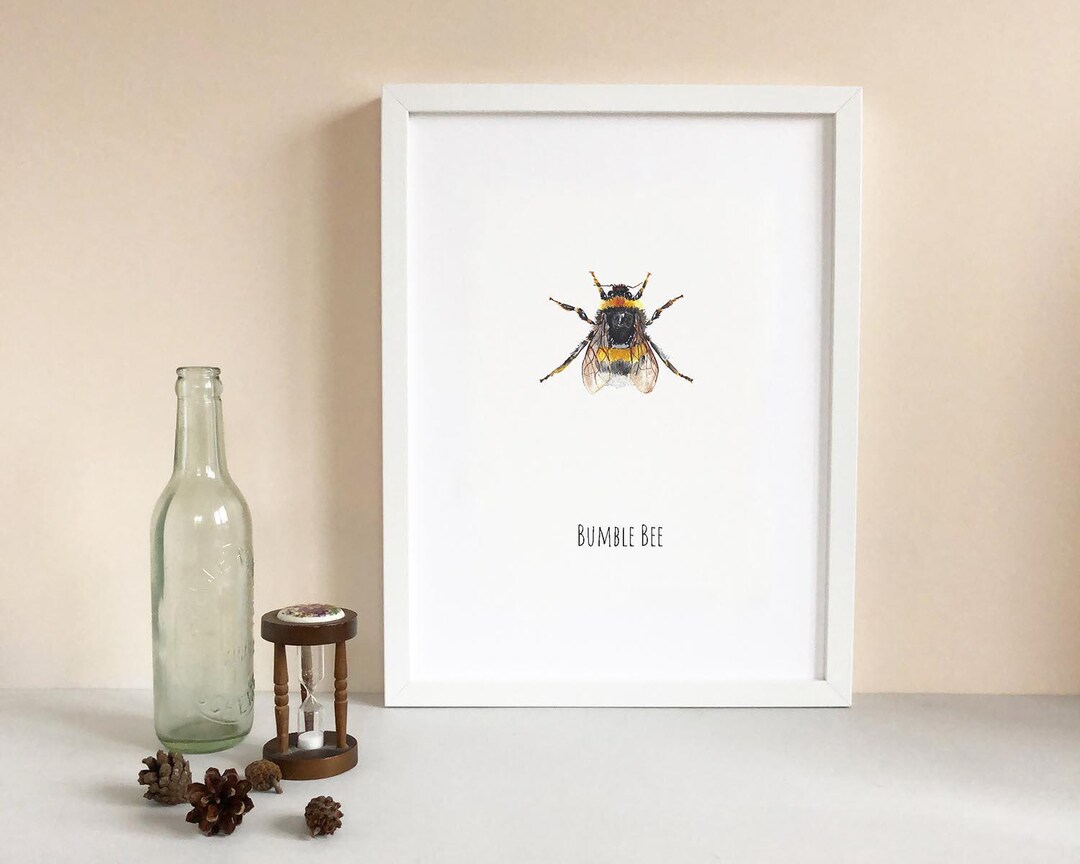 Bumble Bee Watercolour Fine Art Print - Etsy