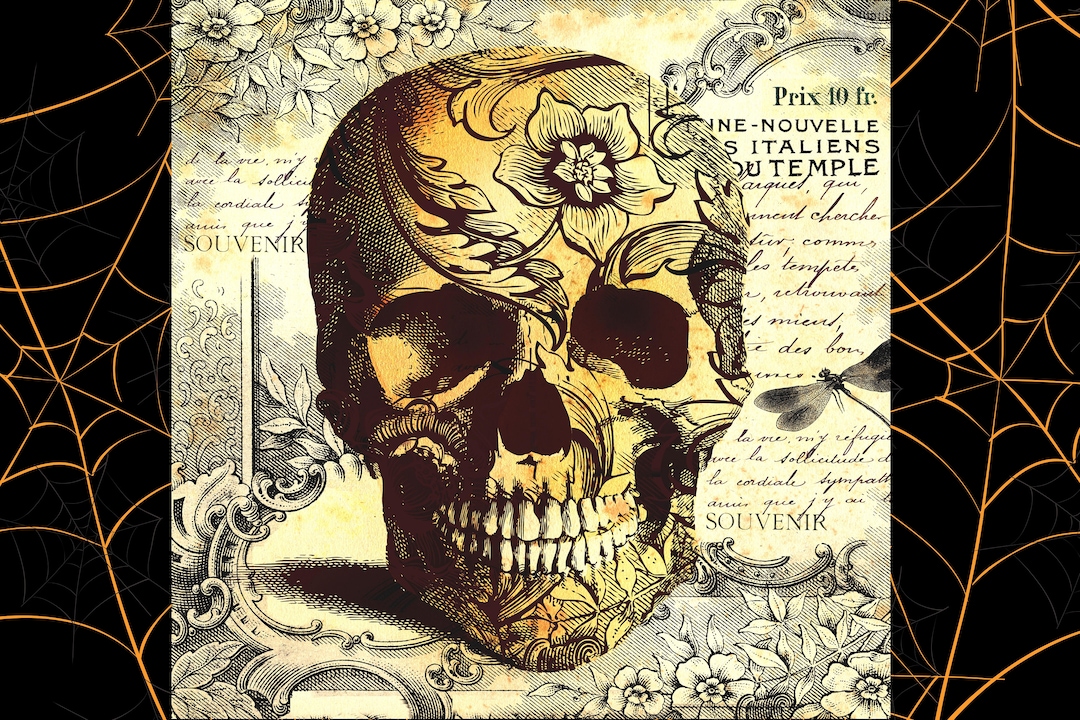 Halloween Sugar Skull and Web Decoupage Tissue Deborah Bucher Designs ...