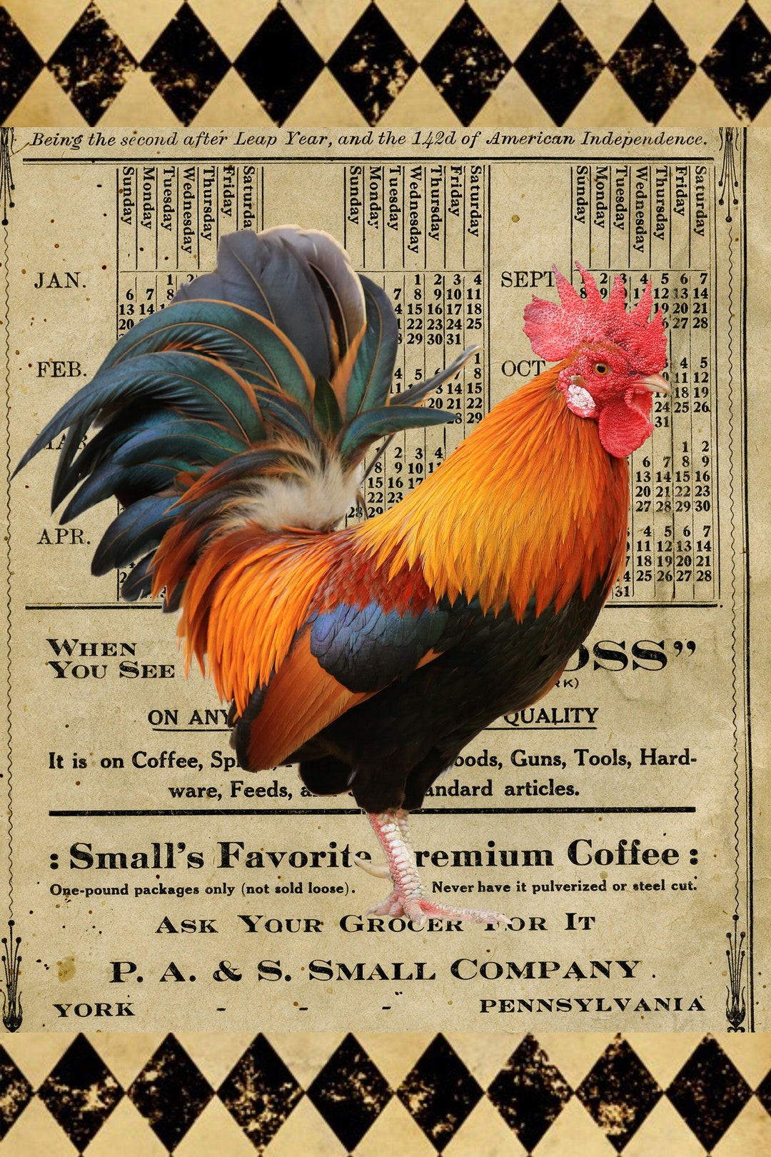 32_sassy Rooster Vertical, Deborah Bucher Designs, Tissue Paper ...