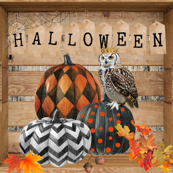Chevron Owl - Etsy