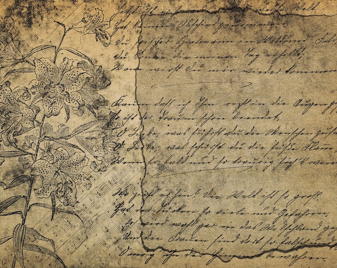 11_french Script Decoupage Tissue, Deborahbucherdesigns, Decoupage ...