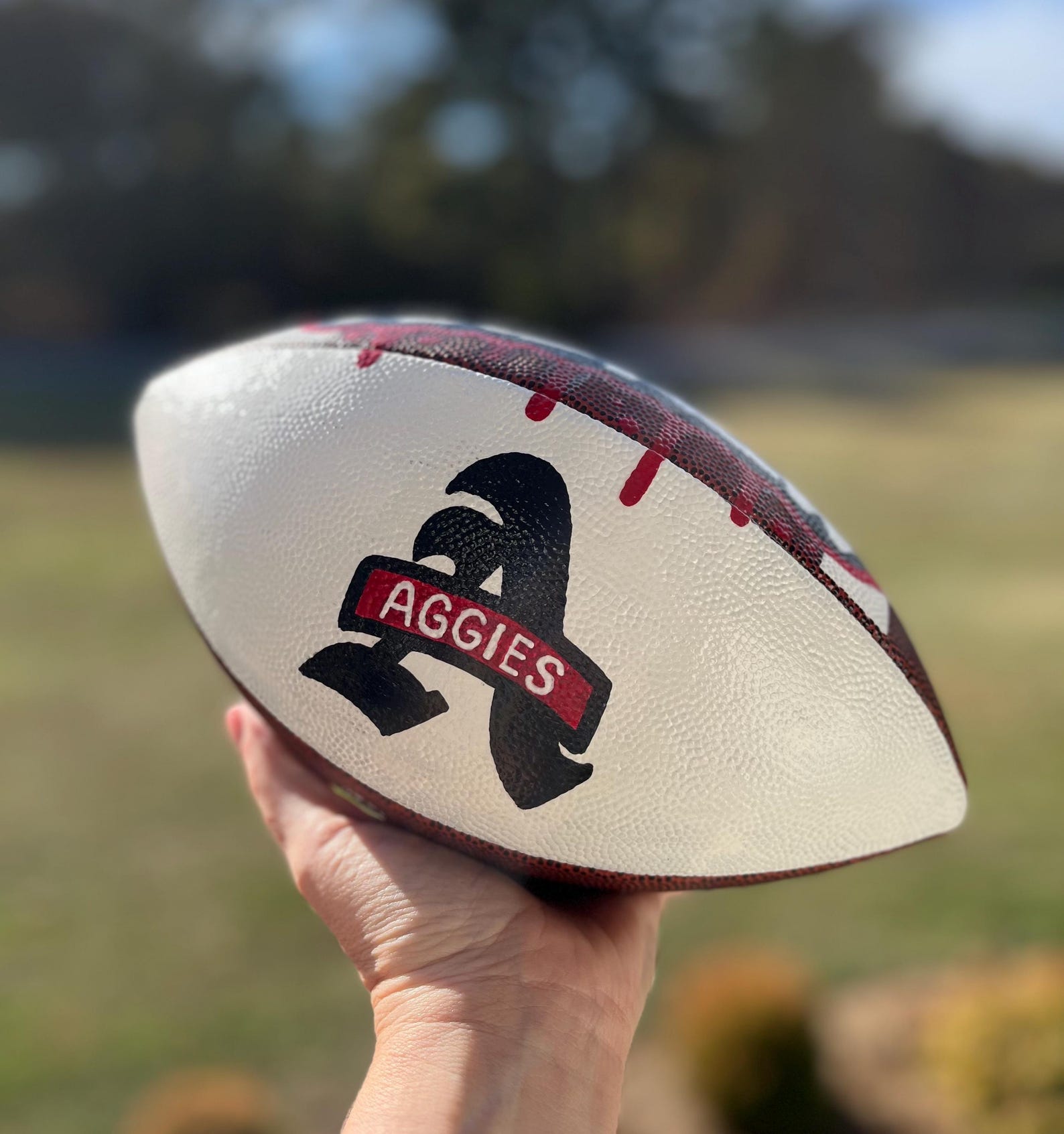 Hand Painted Football - Etsy
