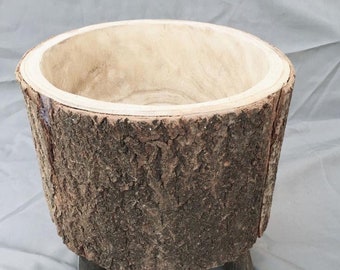 Tree Bark Planter | Etsy