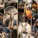 Bar Animals Wallpaper. Bull, Chimp, Lion, Deer, Eagle, Goat, Hamster ...