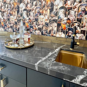 Bar Animals Wallpaper. Bull, Chimp, Lion, Deer, Eagle, Goat, Hamster ...