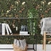 Olive Green Forest Wallpaper, Vintage Botanical Forest Wallpaper. Black ...