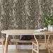 Vintage Forest Rustic Wood Background Wallpaper, Forest Print Wood ...