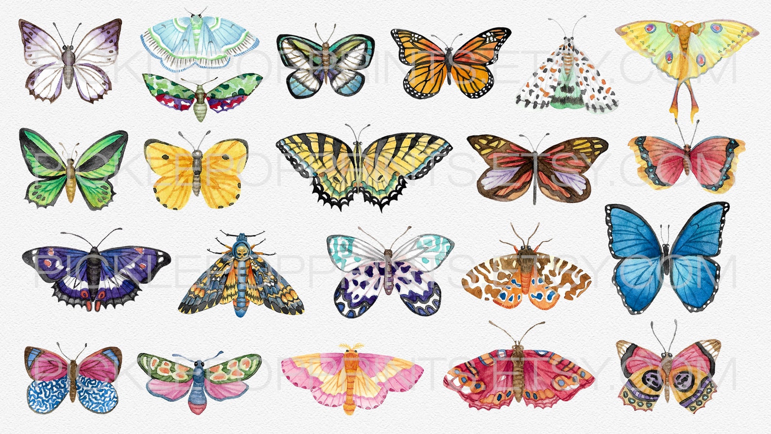 Butterflies and Moths Watercolor Clipart, Butterfly, Insects, Graphics ...
